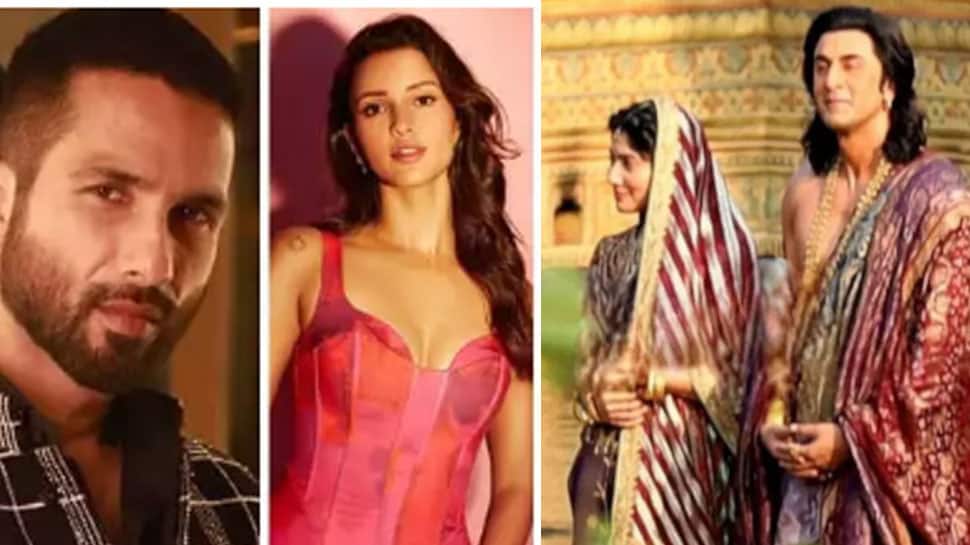 Ranbir Kapoor-Sai Pallavi To Shahid Kapoor-Triptii Dimri: 6 New Reel ... Ranbir Kapoor-Sai Pallavi To Shahid Kapoor-Triptii Dimri: 6 New Reel ...