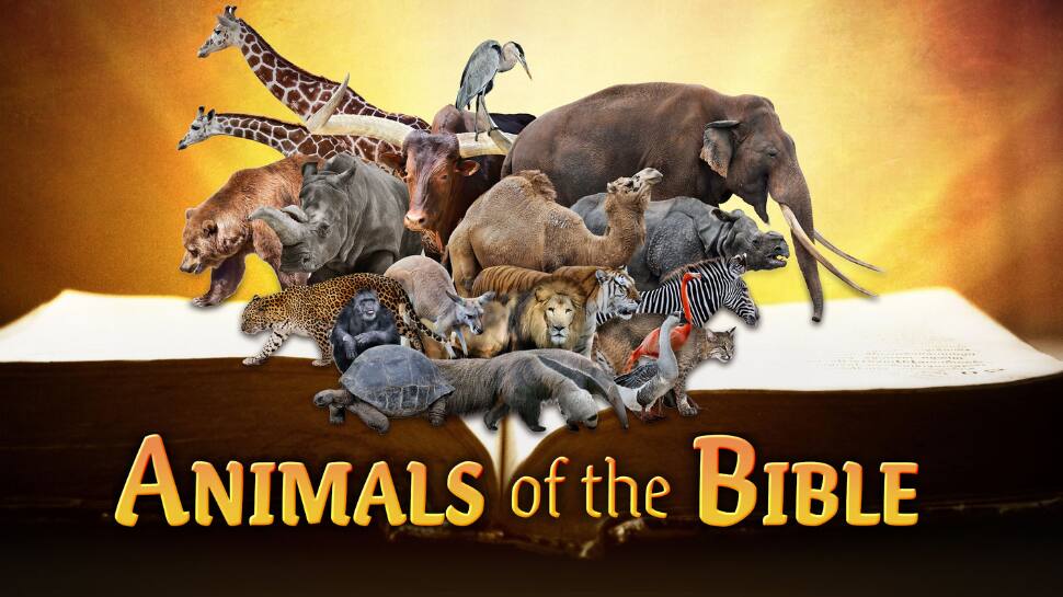 7 Animal Names in the Bible: Their Purpose and Symbolism | News | Zee News