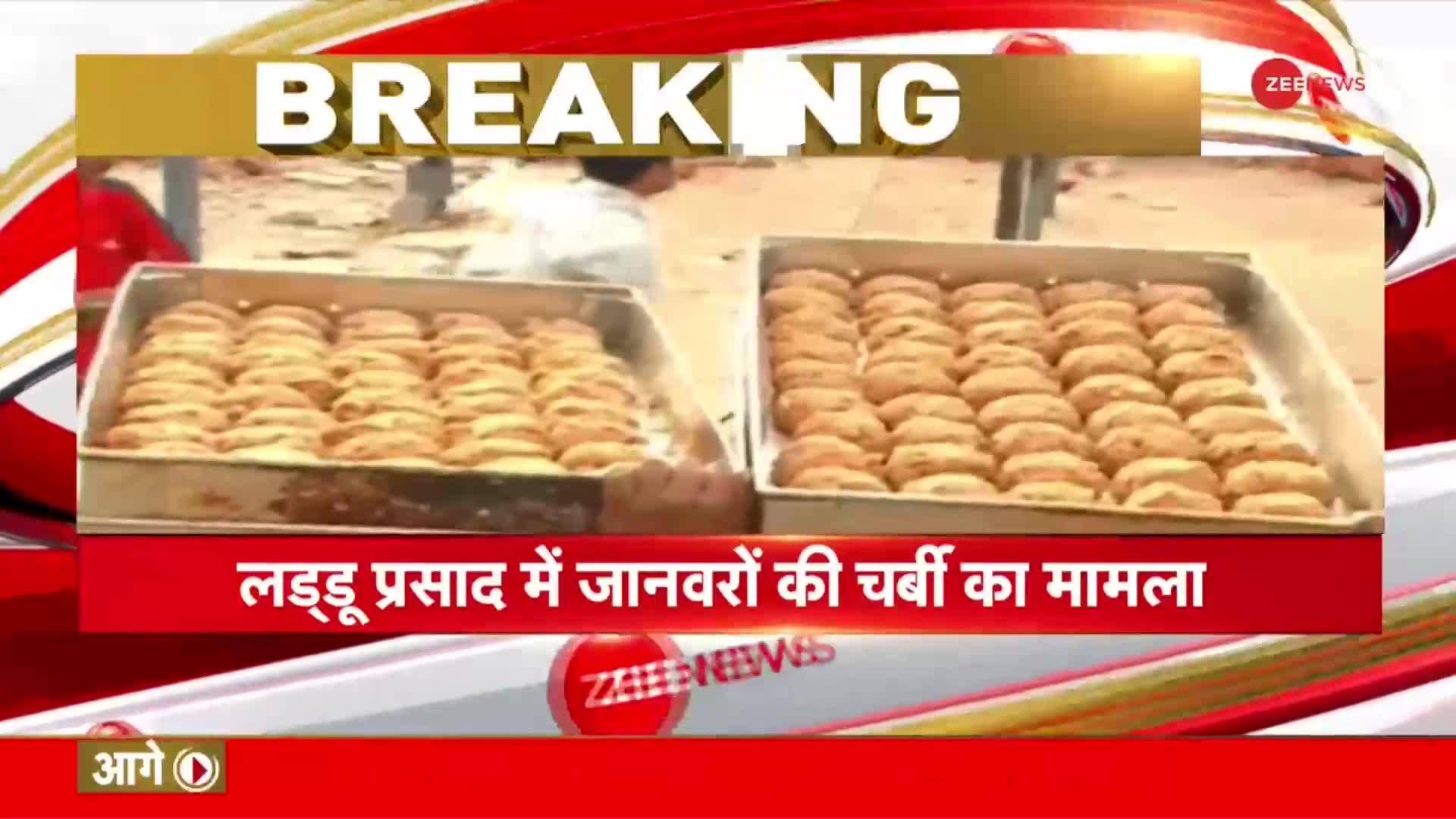 Tirupati laddu row: Andhra CM Chandrababu Naidu forms SIT | Zee News