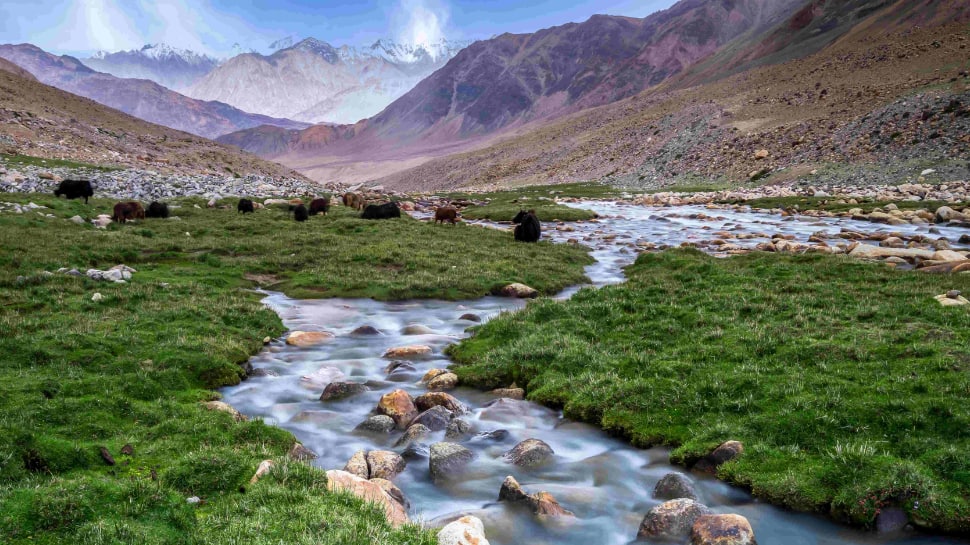 7 Enchanting Valleys in Kashmir You Must Explore for a Dreamy Escape ...