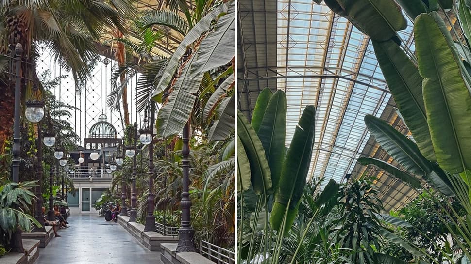This Is World's 'Greenest' Railway Station: 170 Years Old, Has More ...