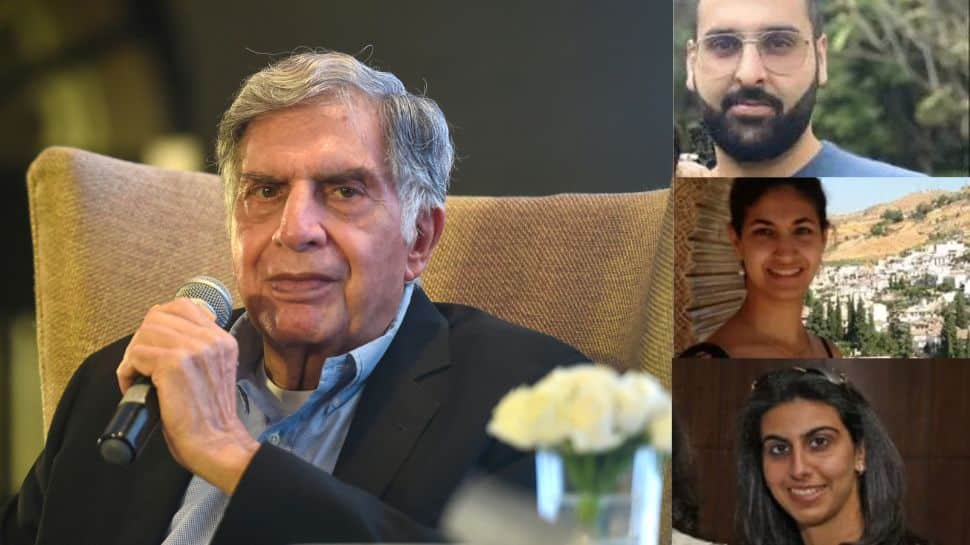 Who Will Carry Forward Ratan Tata's Legacy? Meet Tata Group's Likely ...