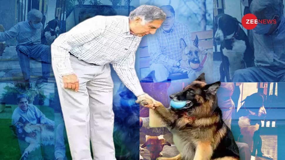 Ratan Tata's Love For Pets: 5 Heartwarming Stories Of His Bond With ...