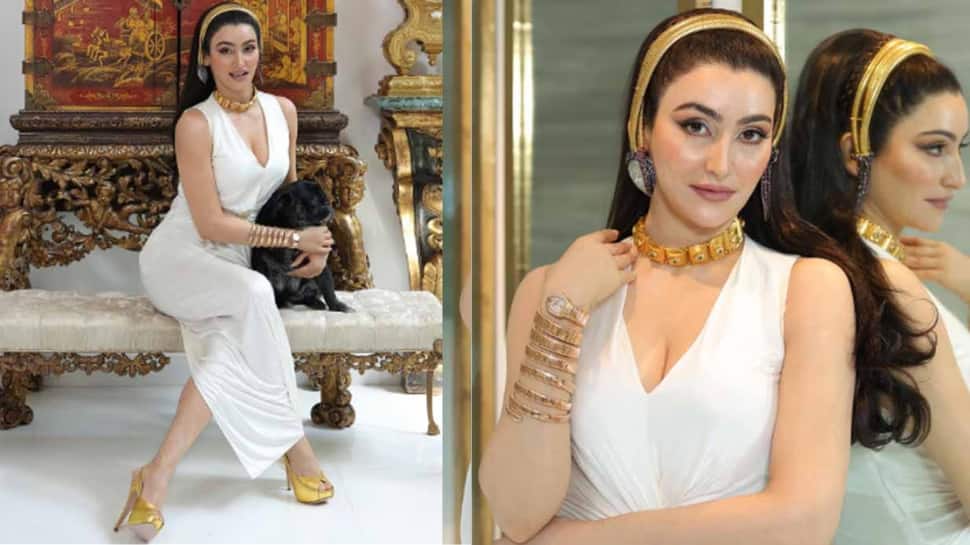 Shalini Passi: Glamorous Wife Of Delhi's Billionaire Businessman; Know ...