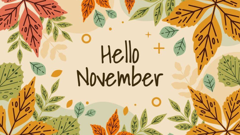 November 2024 Monthly Horoscope: Focus On Savings, Prioritise Self-Care ...