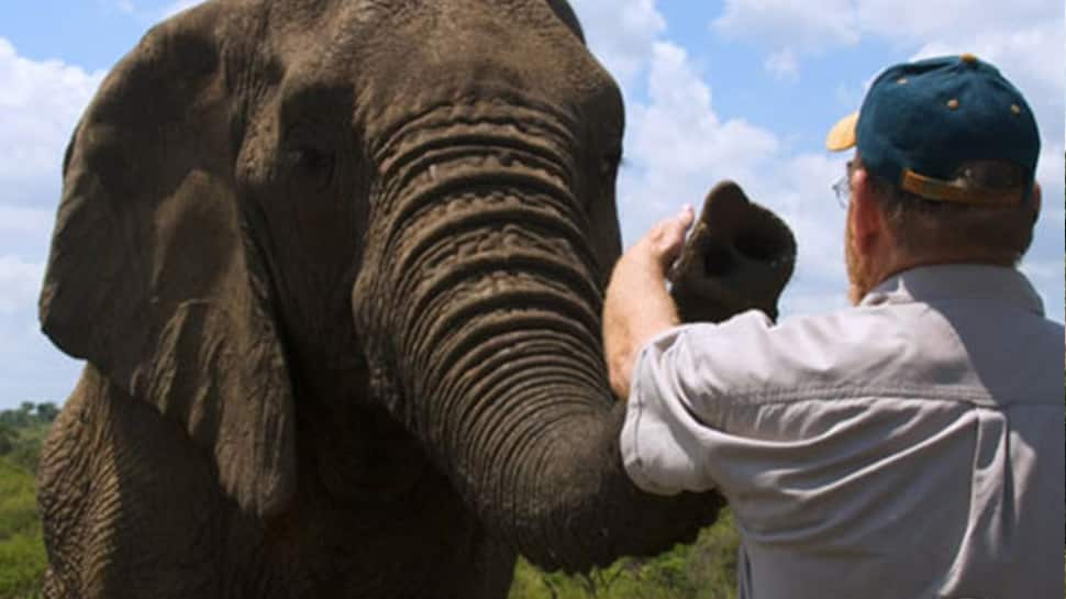 Meet Man Who Saved Elephants During Iraq War: Mammoths Repay His Debt ...
