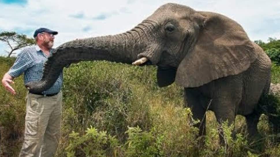 Meet Man Who Saved Elephants During Iraq War: Mammoths Repay His Debt ...