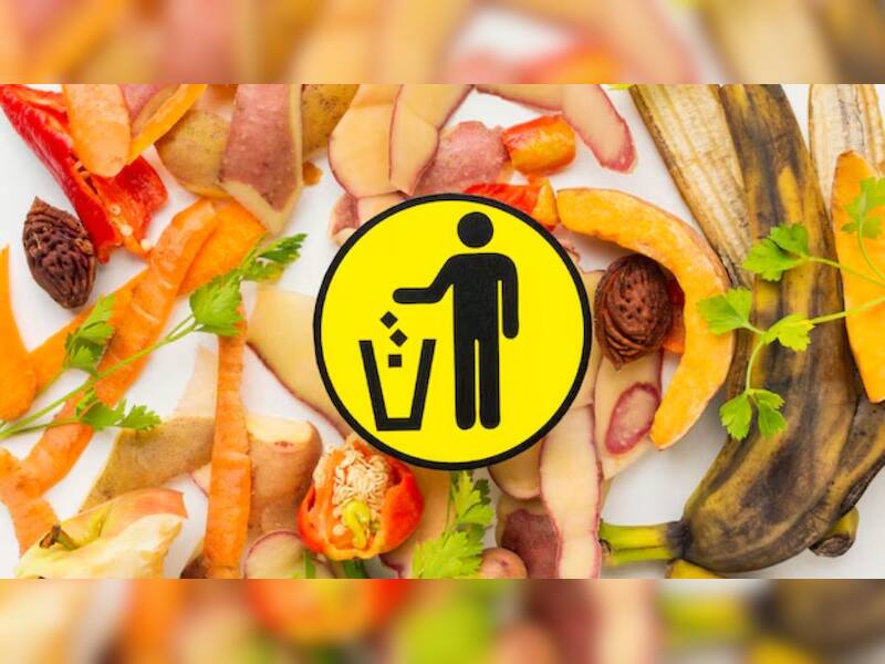 Countries That Waste Most Food ! Check India's Rank On The List | News ...