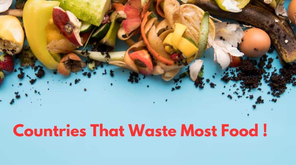 Countries That Waste Most Food ! Check India's Rank On The List | News ...