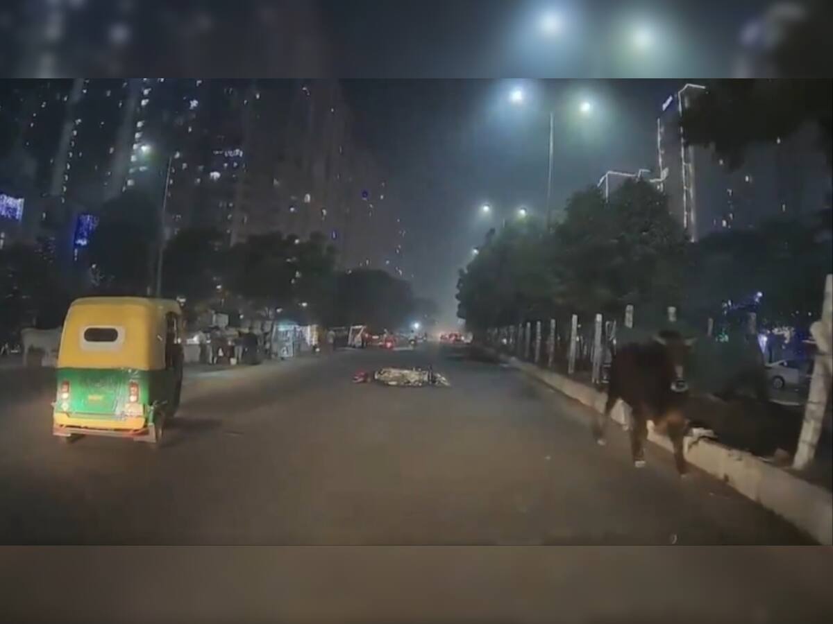 Man Tossed In Air After Crashing His Bike Into Bull In Greater Noida ...