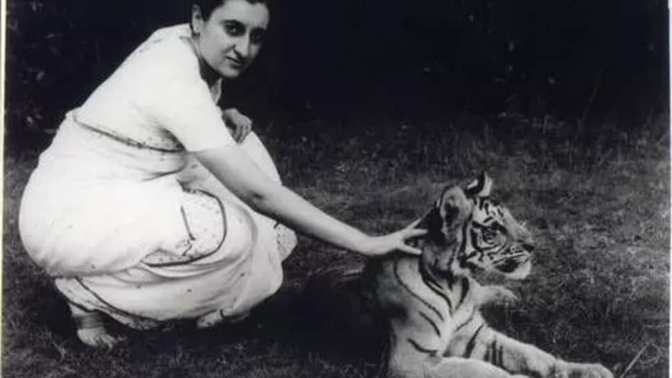 In Pics: Indira Gandhi’s Lesser-Known Legacy, Championing Wildlife ...
