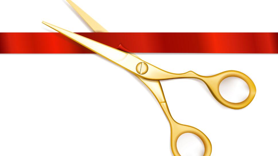 Top 4 Scissors for Everyday Cutting Needs | Accessories News | Zee News