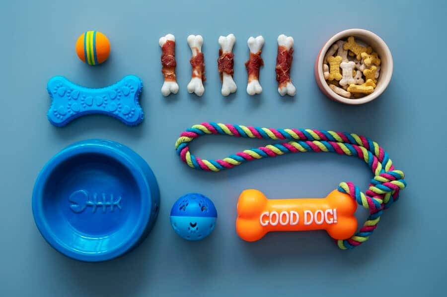 The Ultimate Guide to Dog Chew Toys | Top Deals News | Zee News