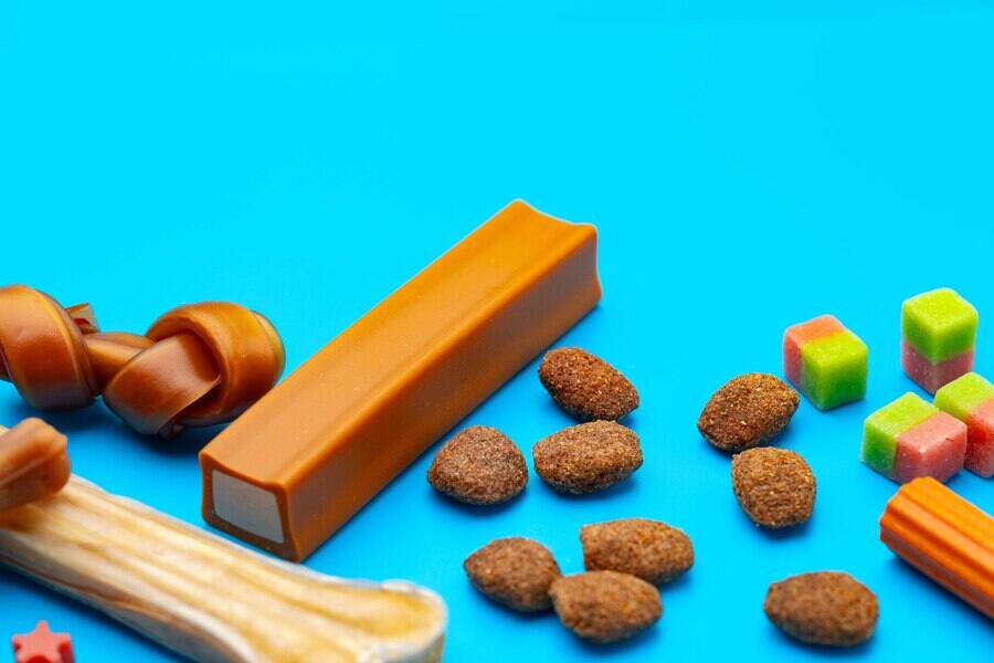 Keep Your Dogs Smile Bright: A Guide to Dental Dog Treats | Top Deals ...
