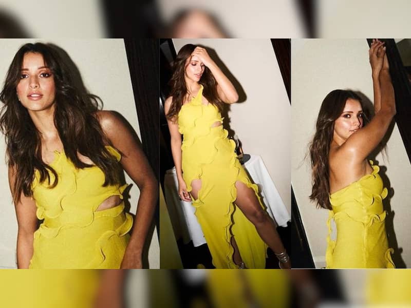 6 Times Triptii Dimri Redefined Glamour With Her Style! | News | Zee News