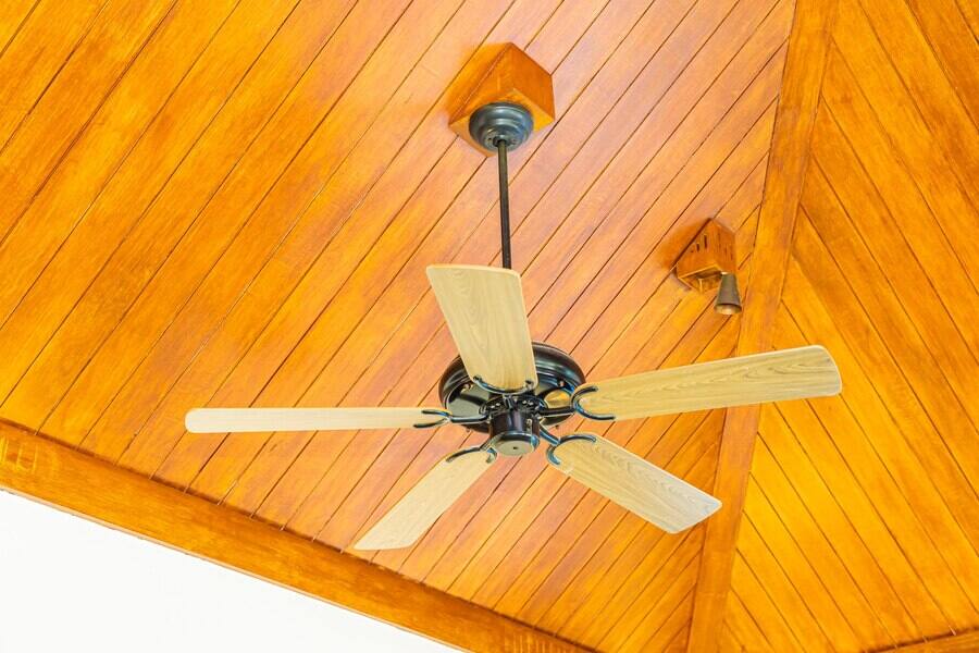 Stay Cool, Save More: Black Friday Fan Sale | Electronics News | Zee News
