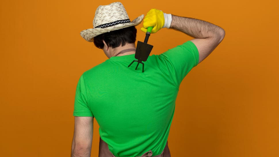 Comforting Back Scratching Sticks for Itching and Massage | Accessories ...