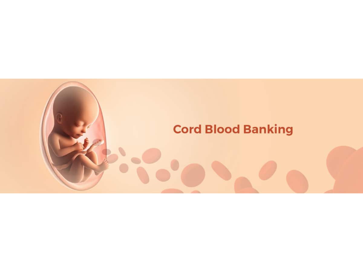 Cord Blood Banking: Understanding How It Works And Why Its Important