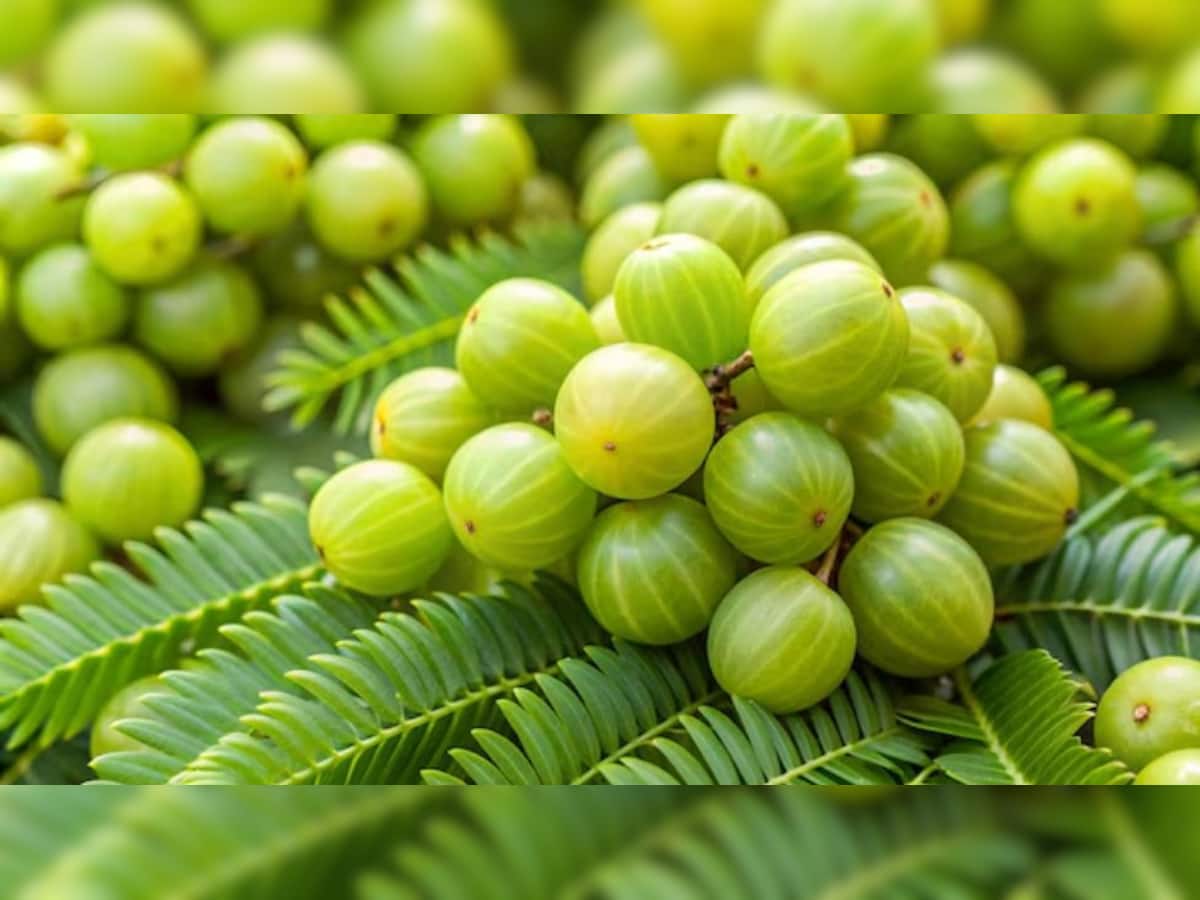 8 Amazing Health Benefits Of Amla: Why You Should Add This Superfood To ...