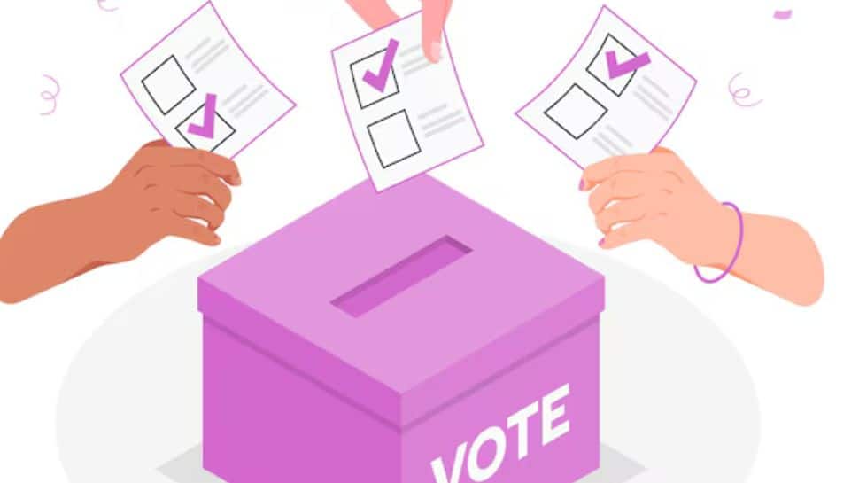 Ghana Holds Special Voting Ahead Of General Elections | World News ...