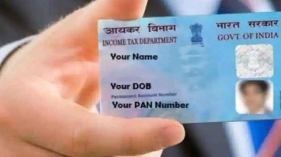 Pan Card For Minor: How To Apply Pan Card For Child, Documents Required ...