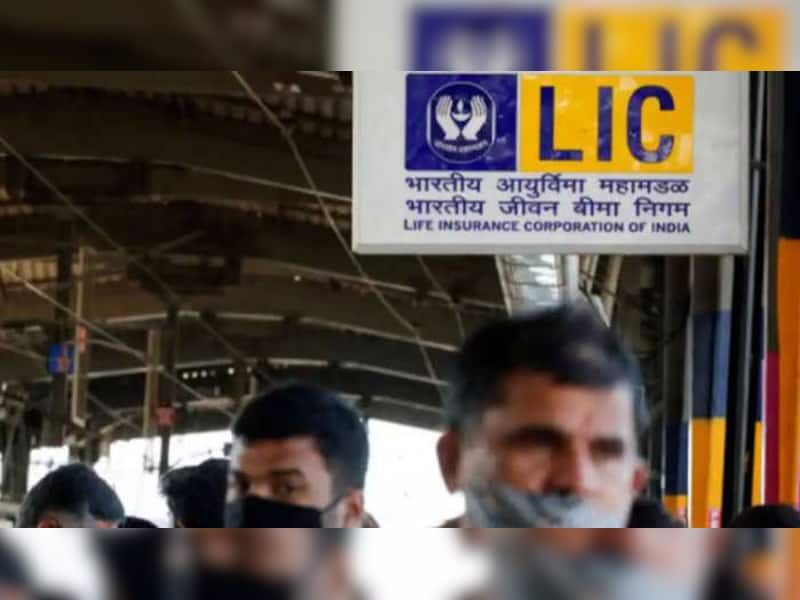 How To Check Your LIC Policy Status, Dues On WhatsApp --Complete Steps ...