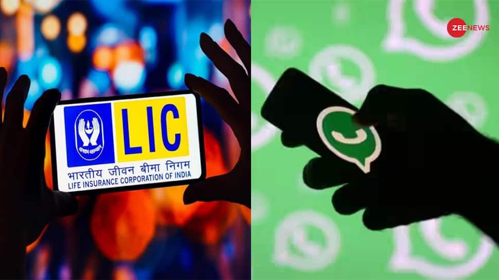 How To Check Your LIC Policy Status, Dues On WhatsApp --Complete Steps ...