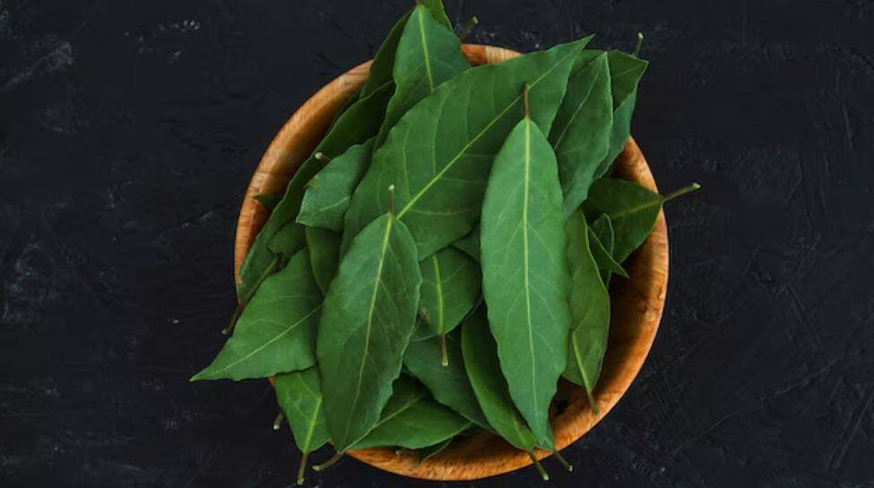 How To Easily Grow Curry Patta In Your Balcony Or Kitchen Garden ...