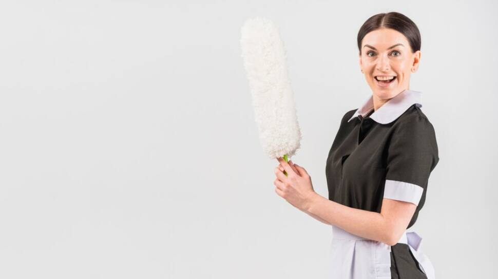 Essential Guide to Buying the Best Cleaning Dusters for Your Home | Top ...