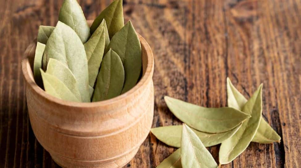 How To Grow Tej Patta In Your Balcony Or Kitchen Garden? Follow Step ...