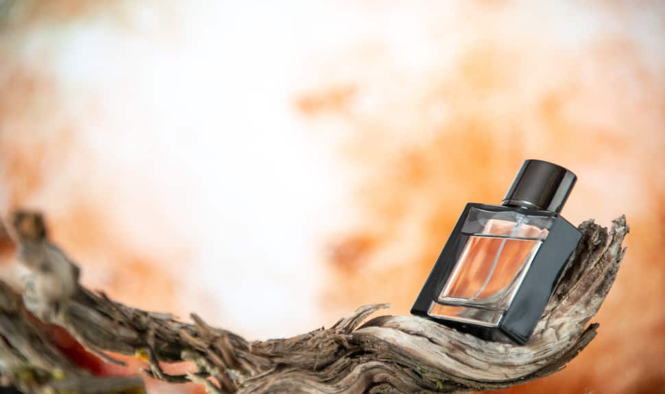 Must Buy These Best Women's Perfumes to Enhance Your Elegance ...