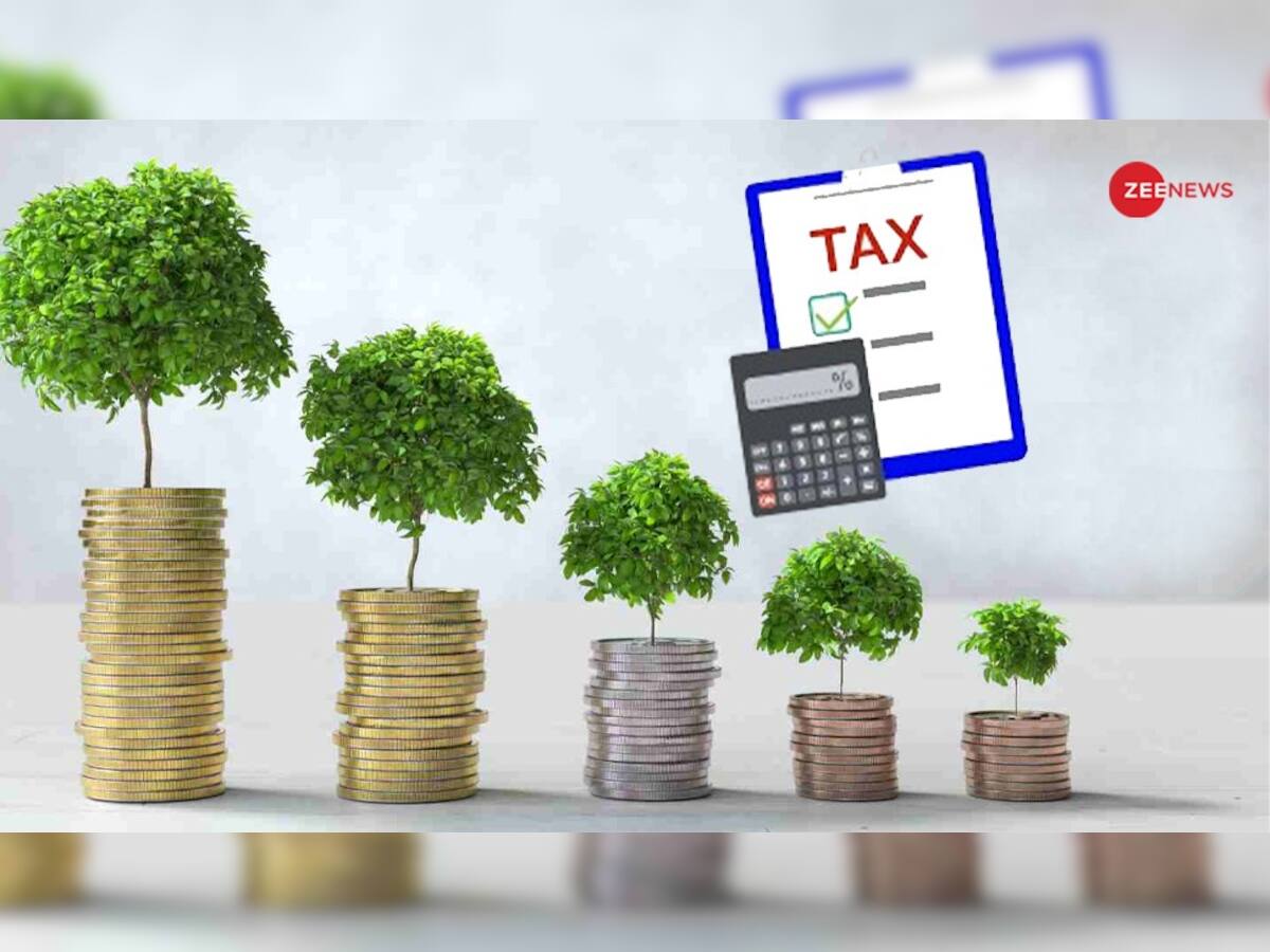 How To Plan Tax-Saving Investments Under Section 80C; Check Here