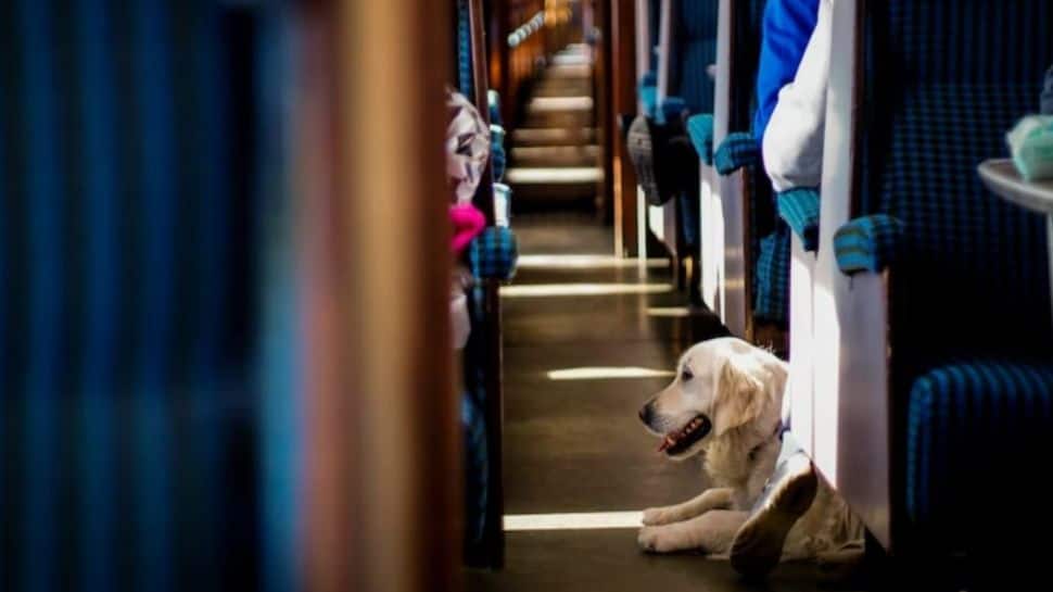 Planning To Travel With Your Dog On Indian Railways? Here's How To Do ...