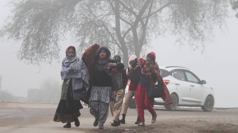 Weather Update: IMD Predicts Dense Fog, Cold Wave And Temperature Drops Across India | India ...