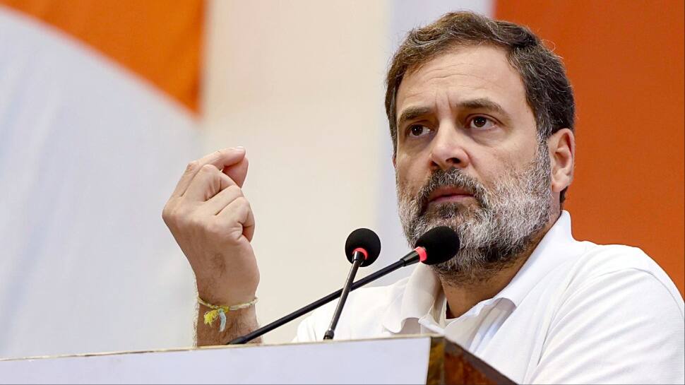 'How Many More Families Will Suffer Like This?': Rahul Slams Yogi Govt ...