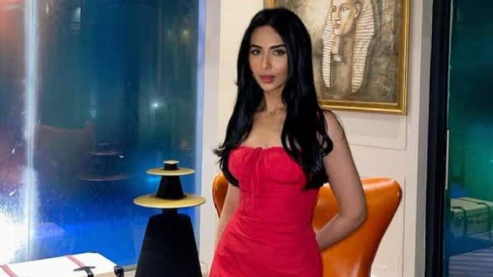 Who Is Laila Faisal? Rumoured Girlfriend Of Star Cricketer Abhishek Sharma