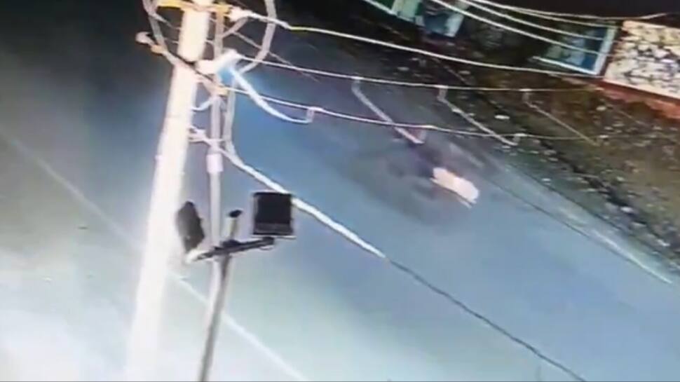 Leopard Crossing Road Collides With Milkman In Viral Video, Here's What ...