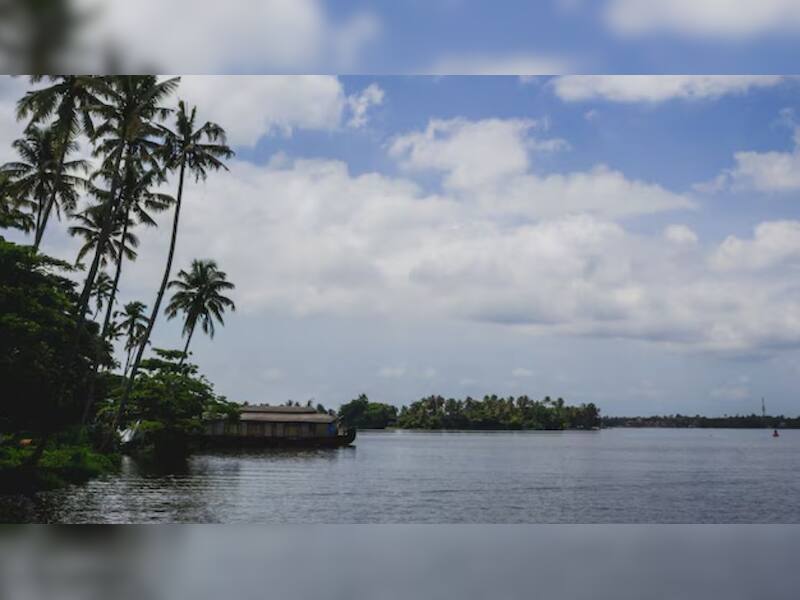 8 Incredible Places In India To See Dolphins: Best Dolphin Watching ...