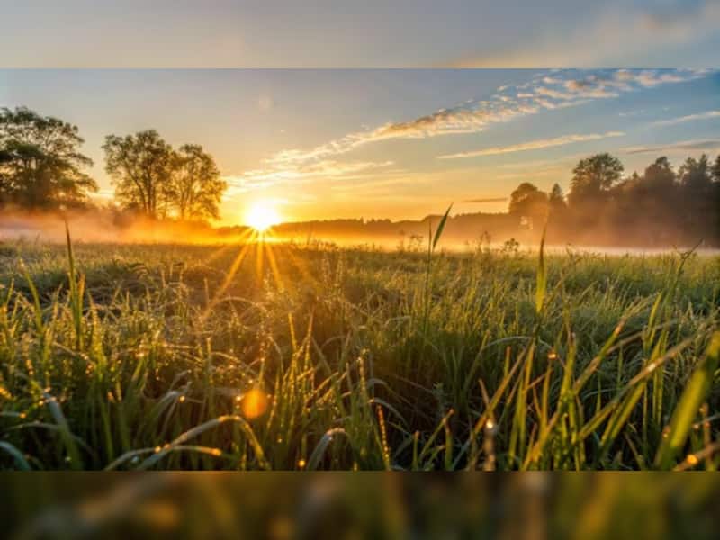 Morning, Noon, Or Night? What Does Your Birth Time Say About Your ...
