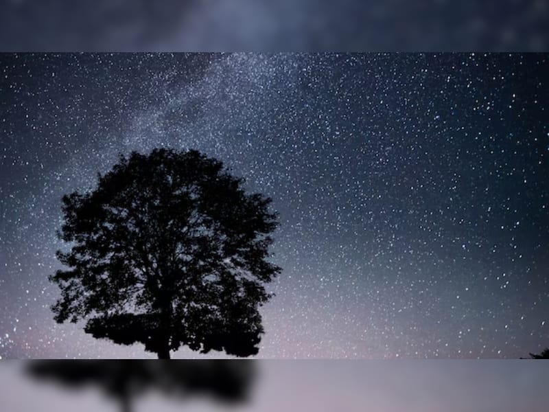 Morning, Noon, Or Night? What Does Your Birth Time Say About Your ...