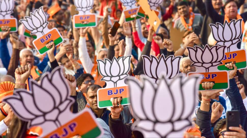 Gujarat Local Body Elections: BJP Establishes Strong Lead As Counting ...