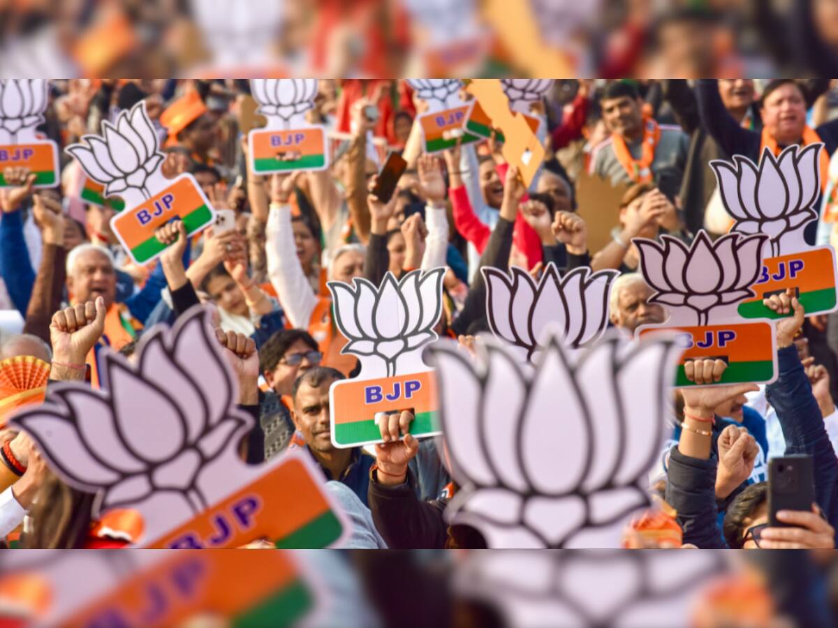 Gujarat Local Body Elections: BJP Establishes Strong Lead As Counting ...