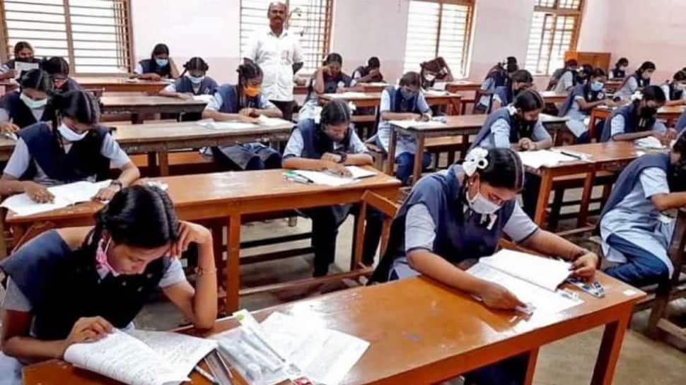 REET Admit Card 2024-25 Released At rajeduboard.rajasthan.gov.in- Check ...