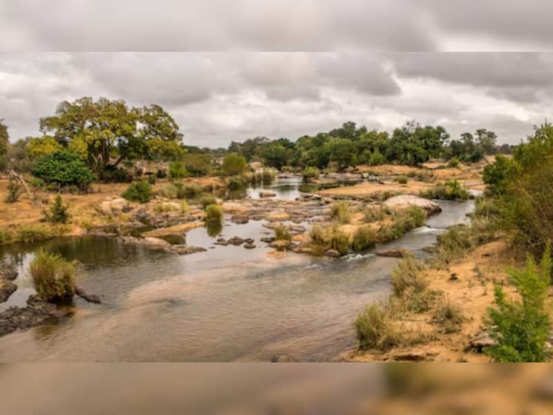 Most Polluted Rivers In The World; India's Most Pious Stream Ranks ...