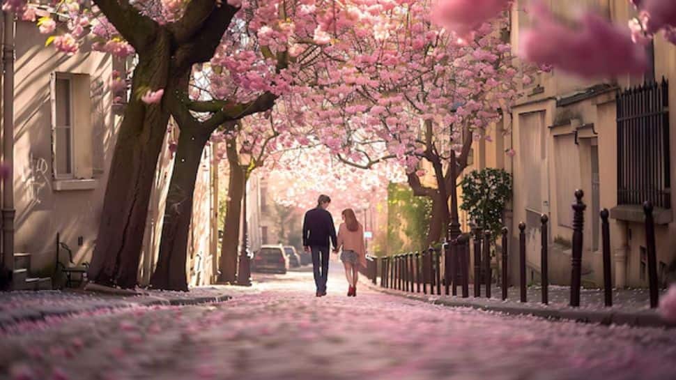 Top 8 Best Places To See Cherry Blossoms Around The World For Stunning ...