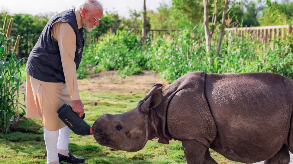 PM Modi's Stunning Pics With Wild Animals - Check | News | Zee News