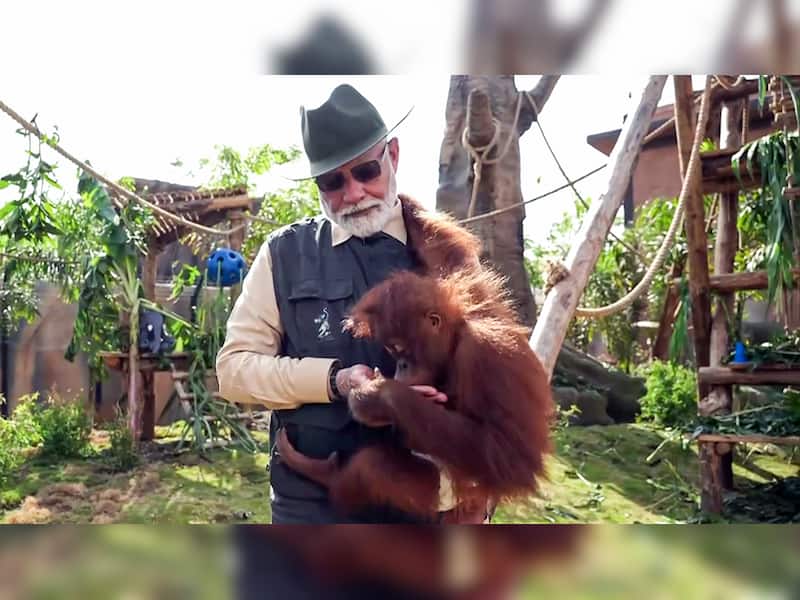PM Modi's Stunning Pics With Wild Animals - Check | News | Zee News