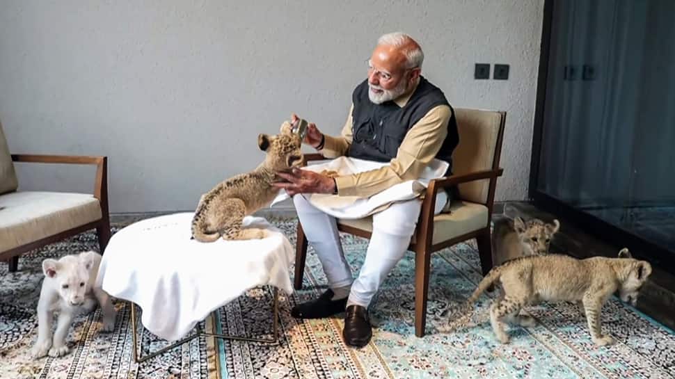 PM Modi's Stunning Pics With Wild Animals - Check | News | Zee News