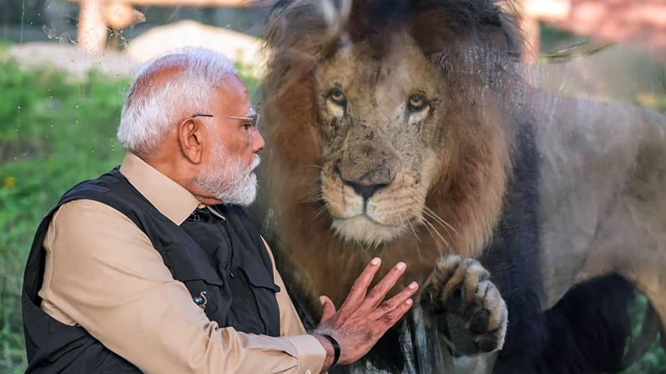 PM Modi's Stunning Pics With Wild Animals - Check | News | Zee News