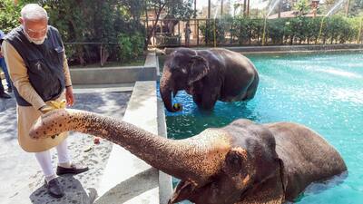 PM Modi's Stunning Pics With Wild Animals - Check | News | Zee News